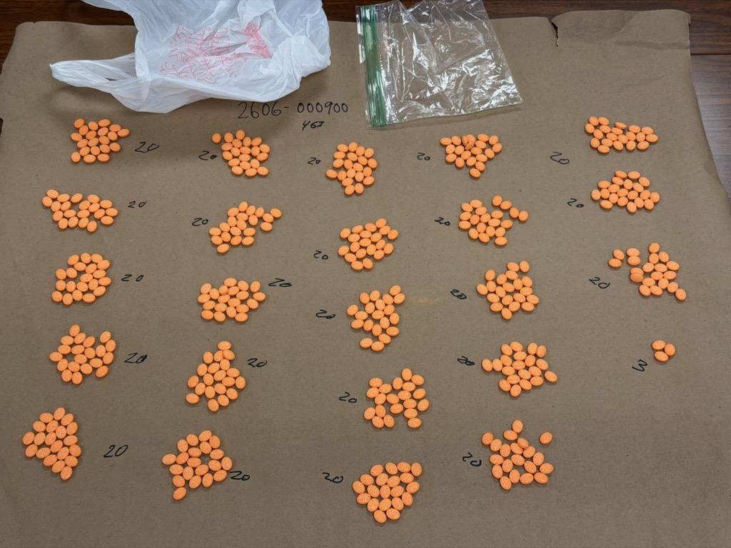 Man Sells Over 500 Pills to Undercover Detectives – Charlotte County ...