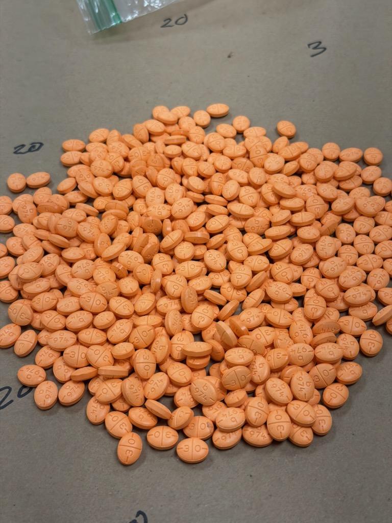 Man Sells Over 500 Pills to Undercover Detectives – Charlotte County ...